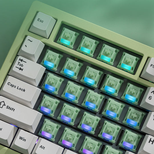 Switches--In Stock – Wuque Studio