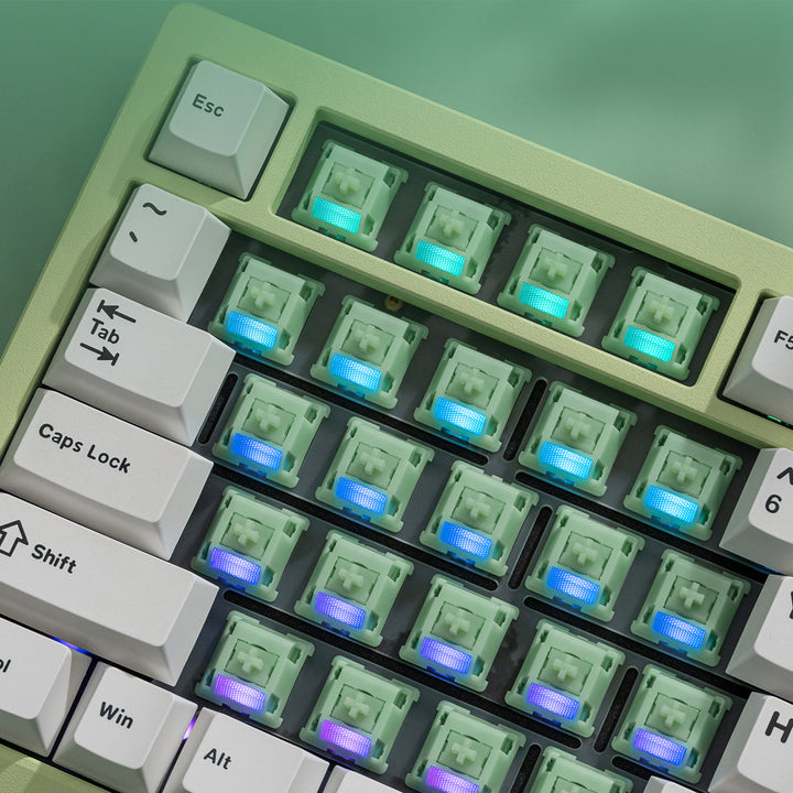 Switches--In Stock – Wuque Studio