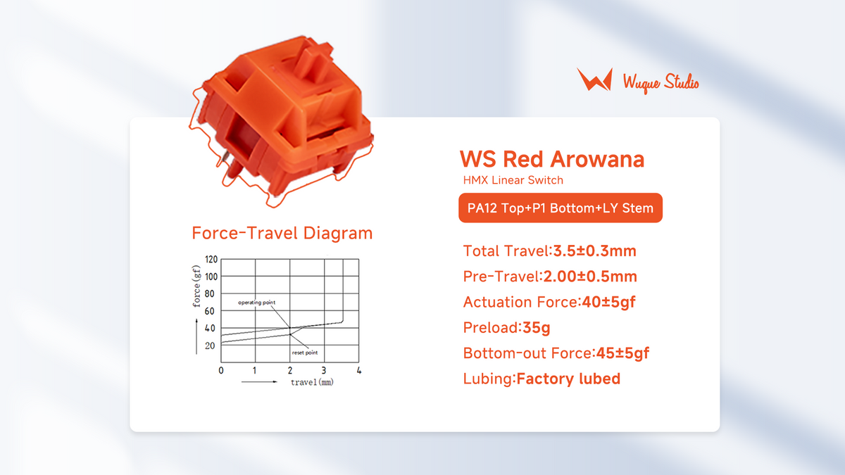 WS Arowana Switch Series (35Pcs) – Wuque Studio